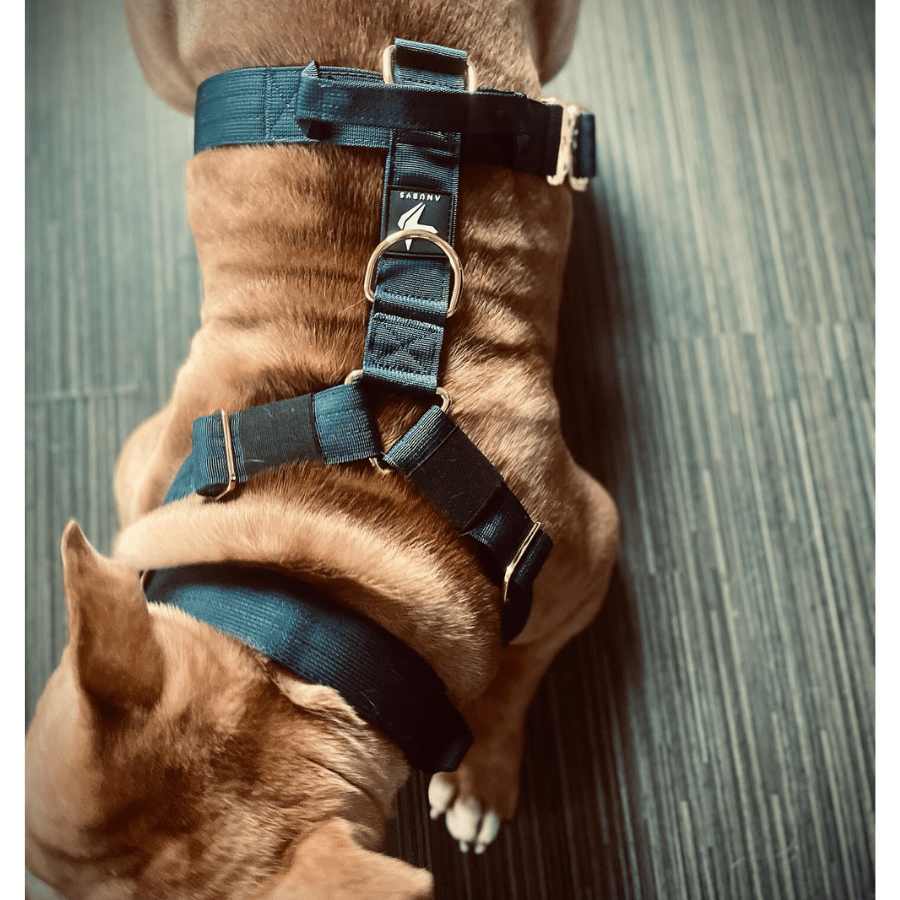 Tactical Harness | Anti-Pull Design | Black – Anubys