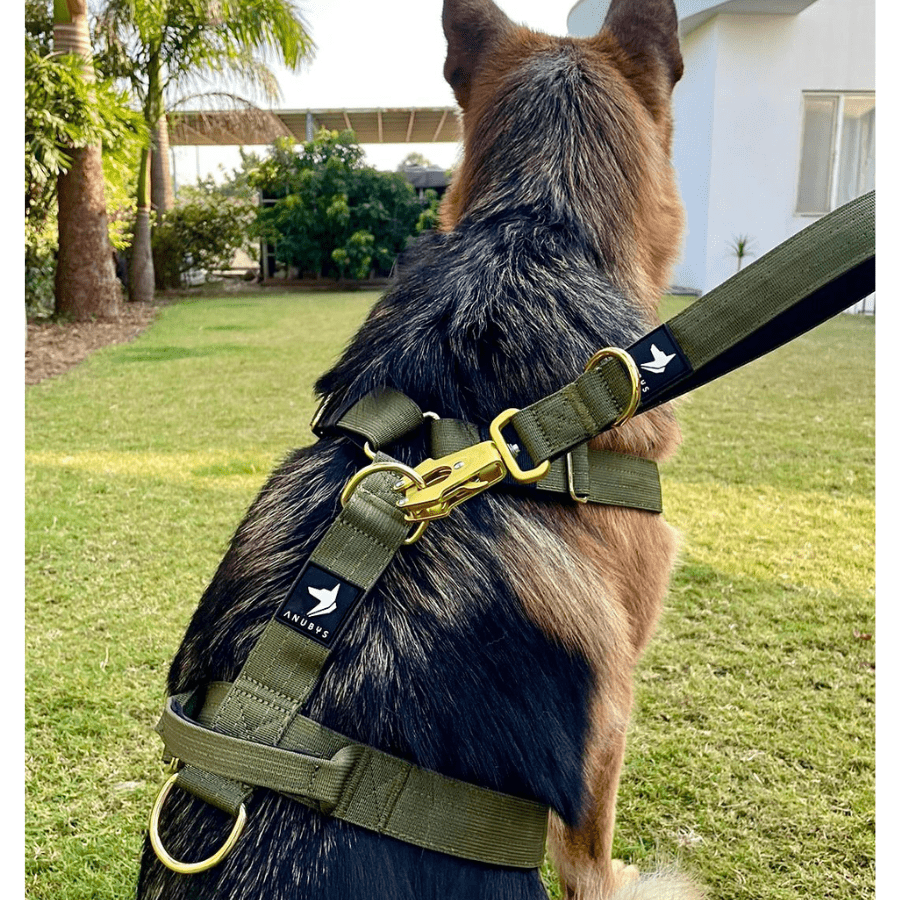 Tactical Harness | Anti-Pull Design | Camo Green – Anubys