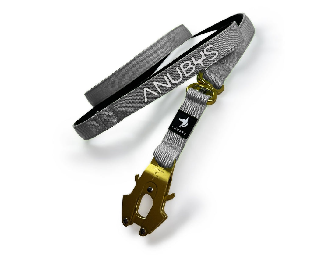 Tactical Leash | Military Grade | Ash Grey – Anubys