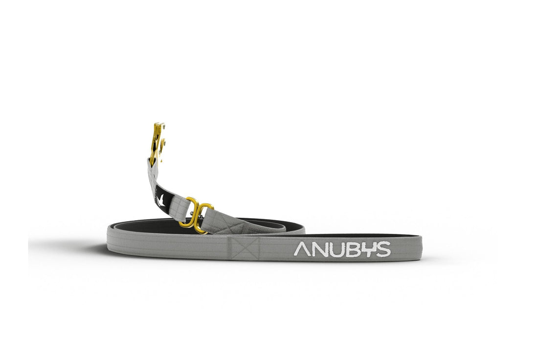 Tactical Leash | Military Grade | Ash Grey – Anubys